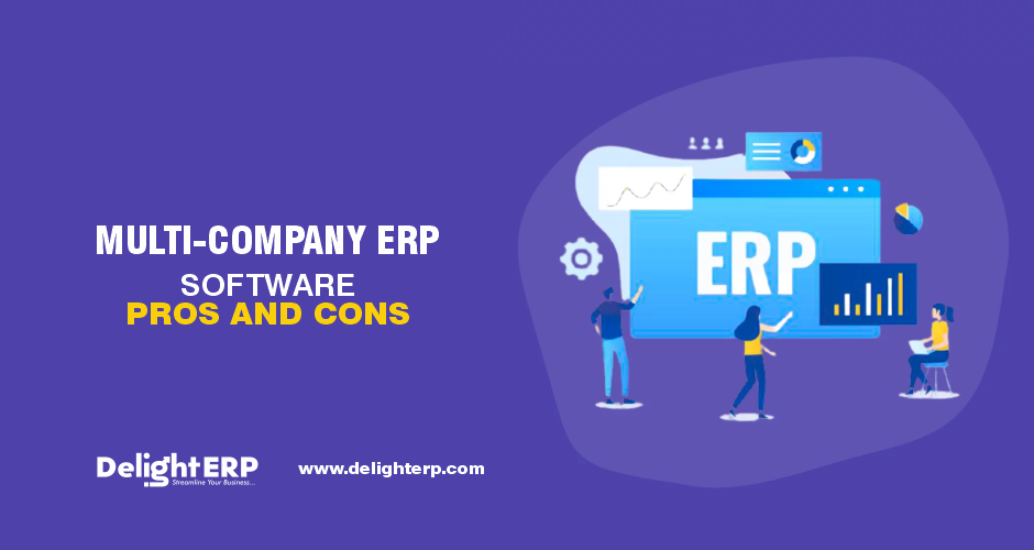 Multi-company ERP Software: Pros and Cons | Delight ERP